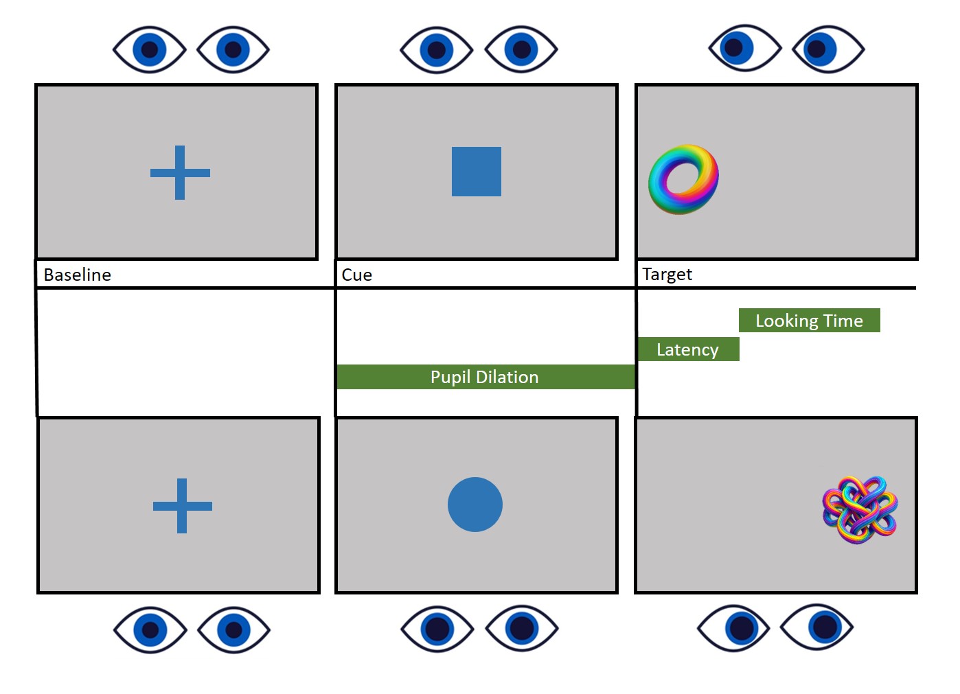 Introduction to eye-tracking – DevStart